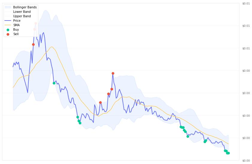 Dasha Boillinger Bands