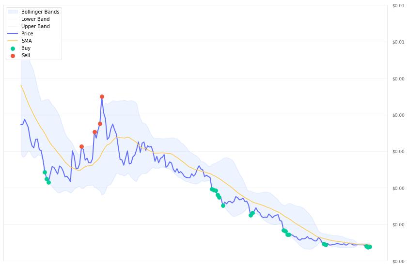 Dasha Boillinger Bands