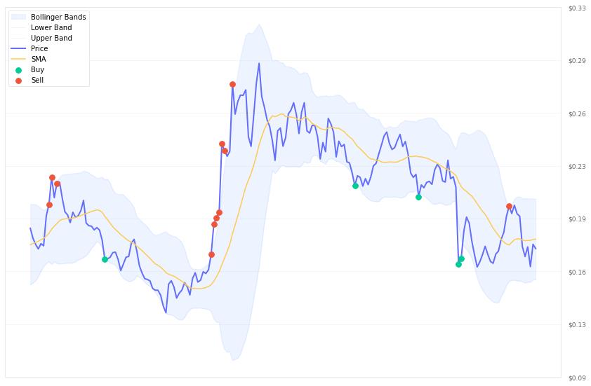 Hedera Boillinger Bands