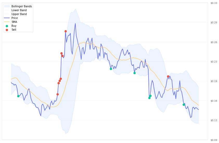 Hedera Boillinger Bands
