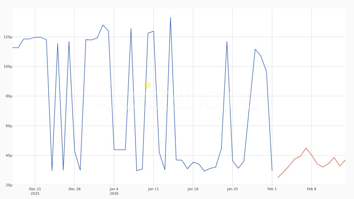DORK LORD краткосрочный прогноз курса