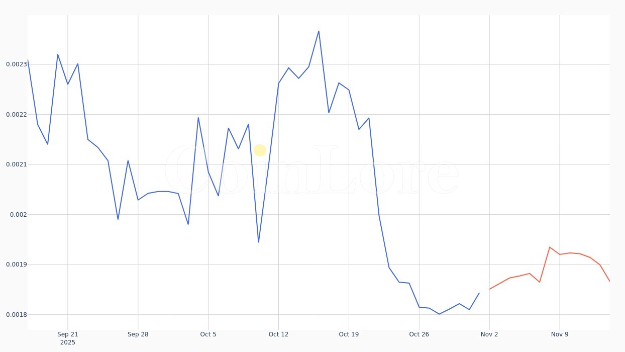 Swash kısa vadeli fiyat tahmini