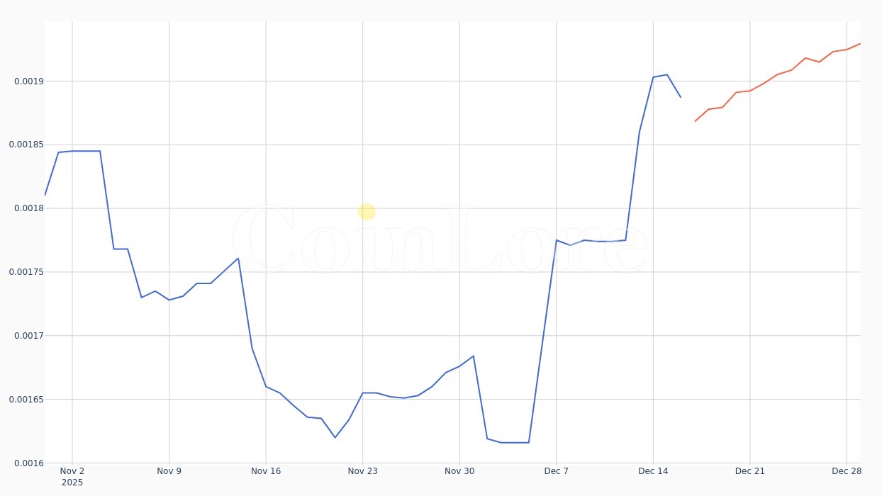 Swash kısa vadeli fiyat tahmini